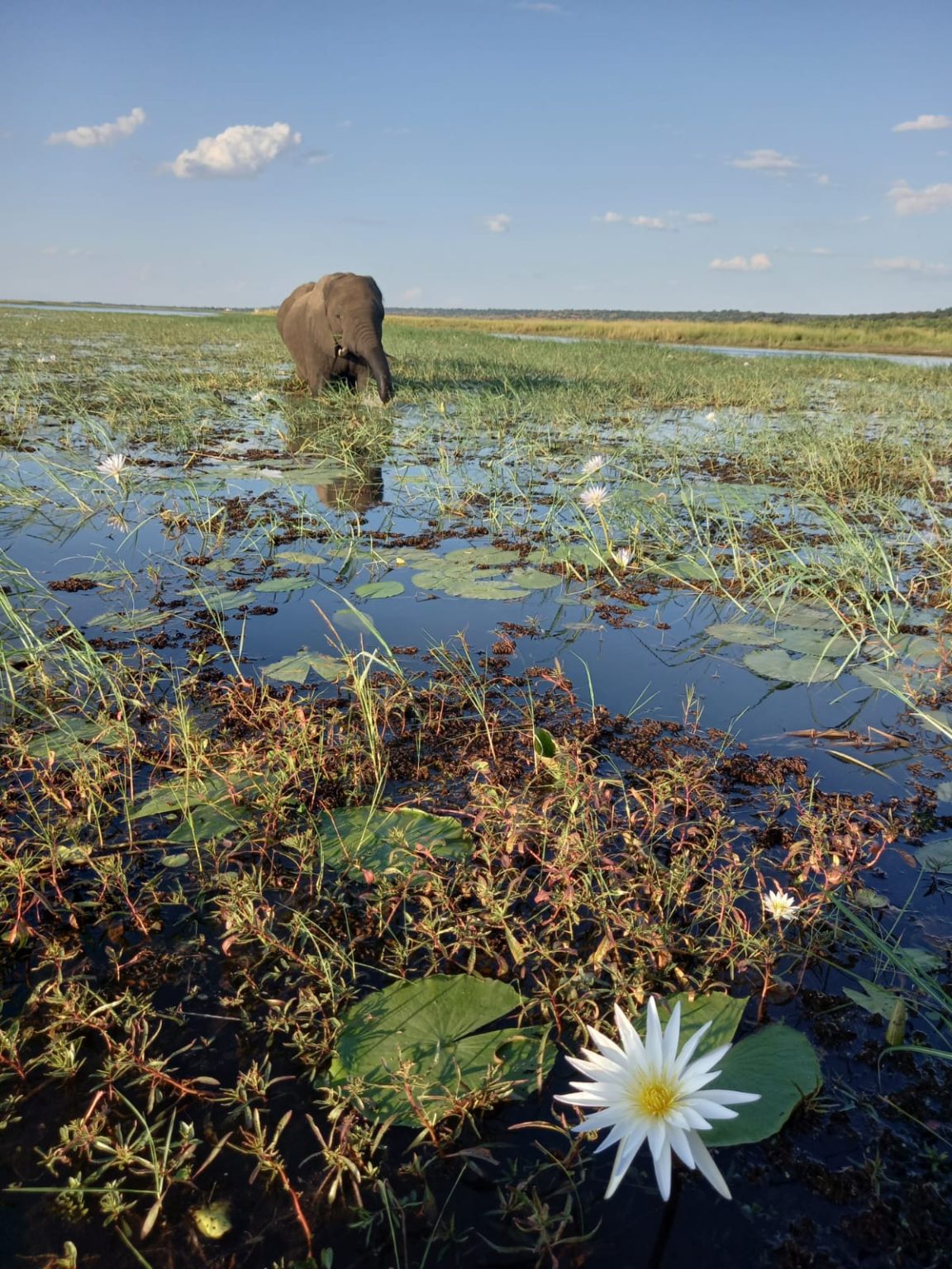 Beautiful Botswana - Grosvenor Tours
